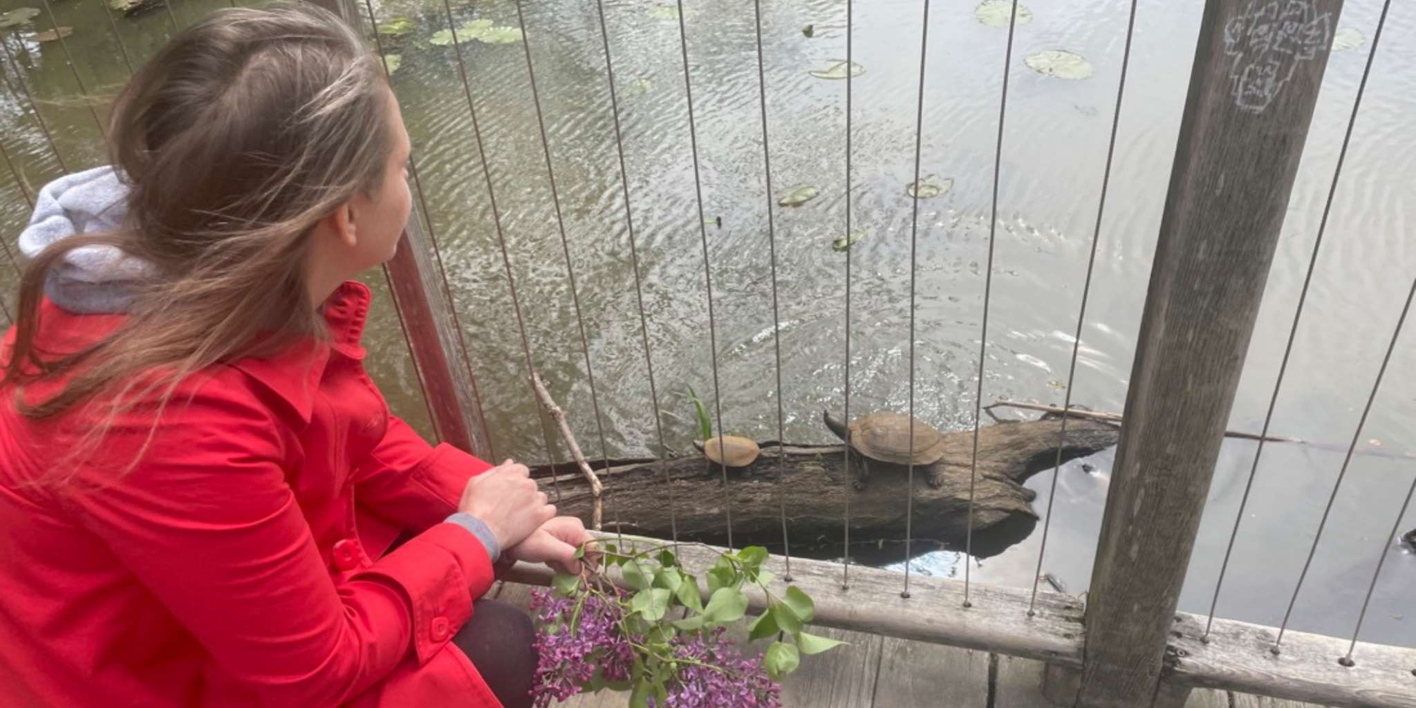 Deep Listening® Workshop – Mount Auburn Cemetery