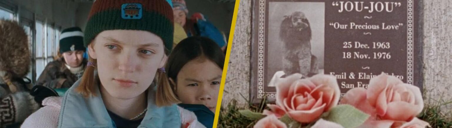 Cemetery Cinema – Mount Auburn Cemetery