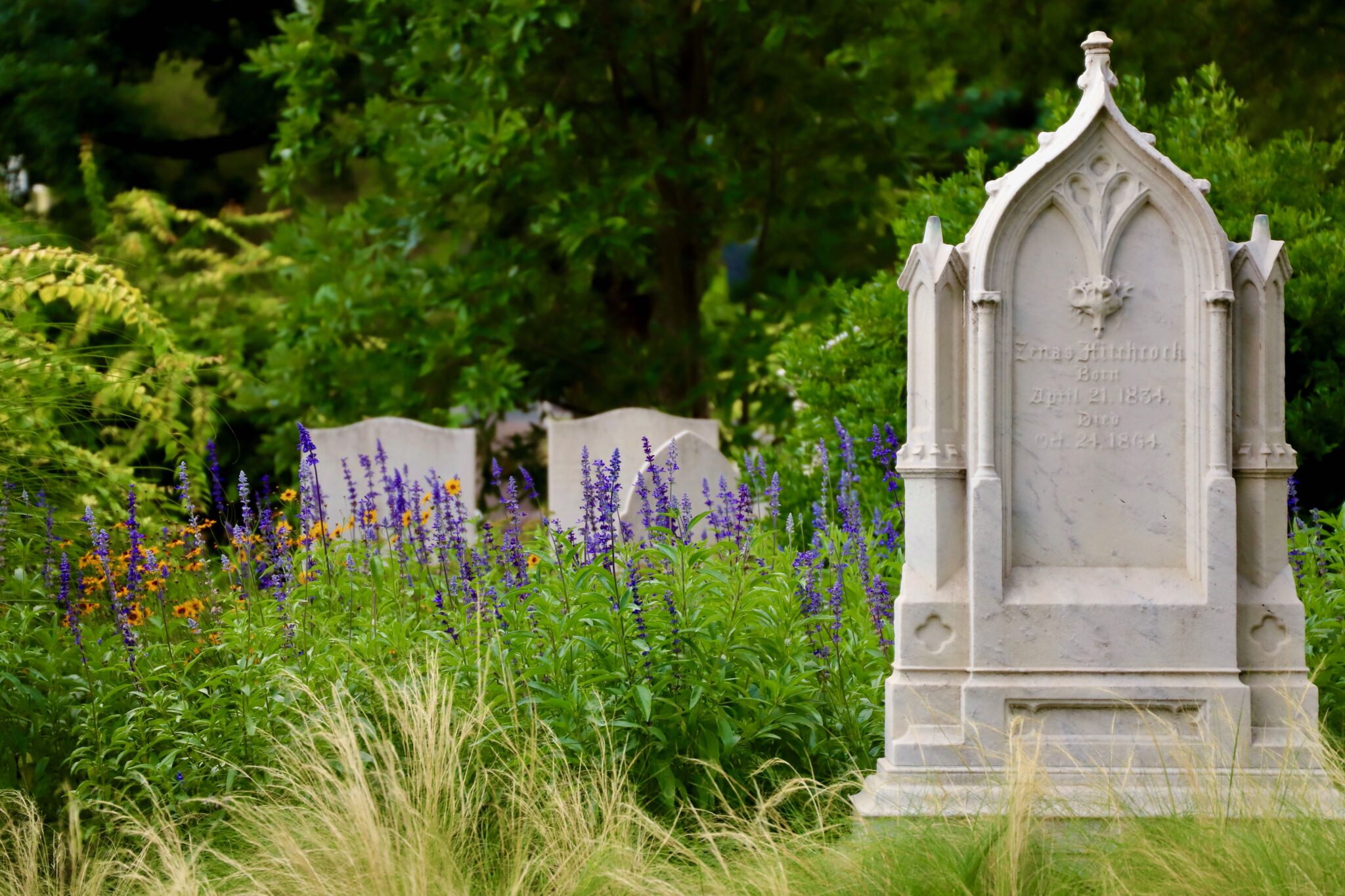 Upcoming Events – Mount Auburn Cemetery